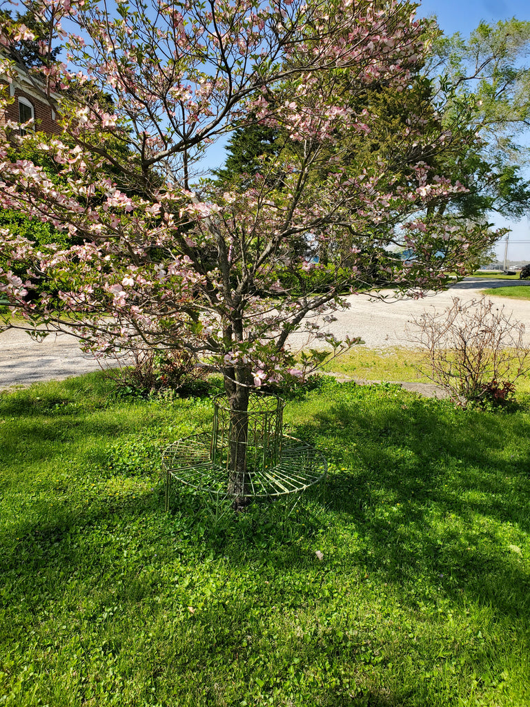 Small English Tree Bench – Garden Iron and More